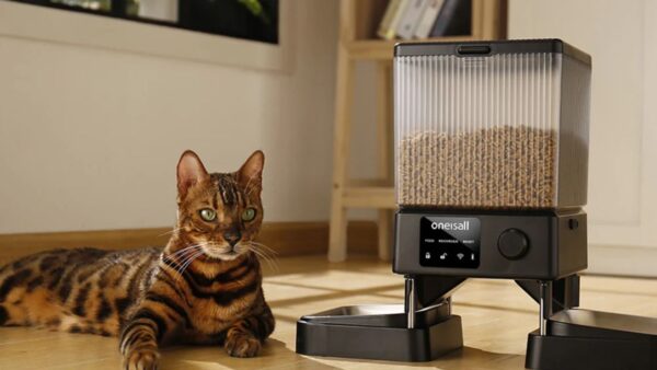 Best Automatic Pet Feeders 2024: Keep Your Pet Happily Fed