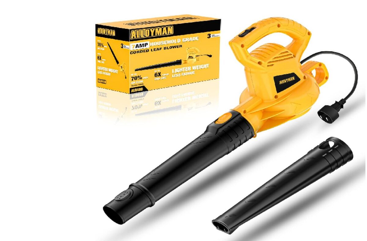 The Best Leaf Vacuums and Leaf Blowers to Buy
