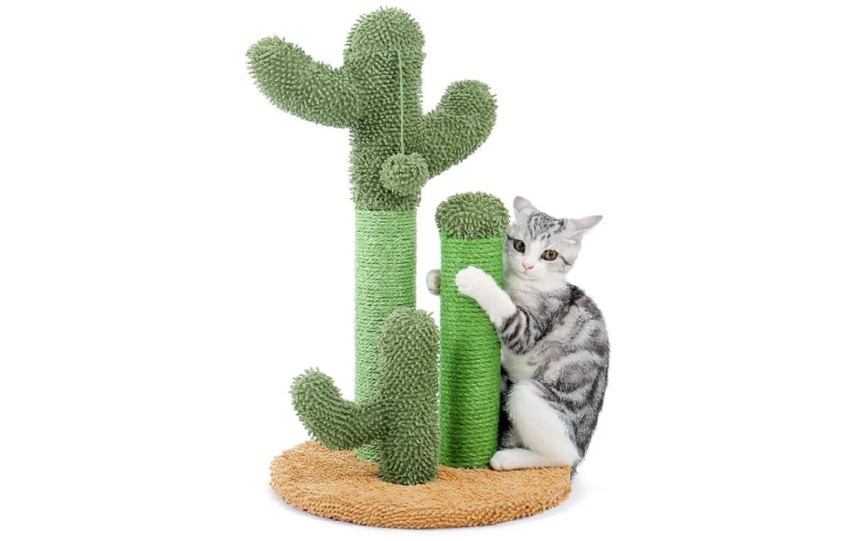 Best Cat Scratchers to Buy in 2026
