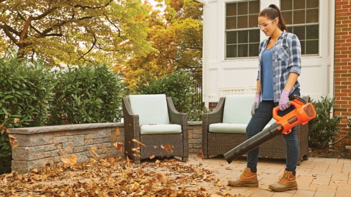The Best Leaf Vacuums and Leaf Blowers to Buy