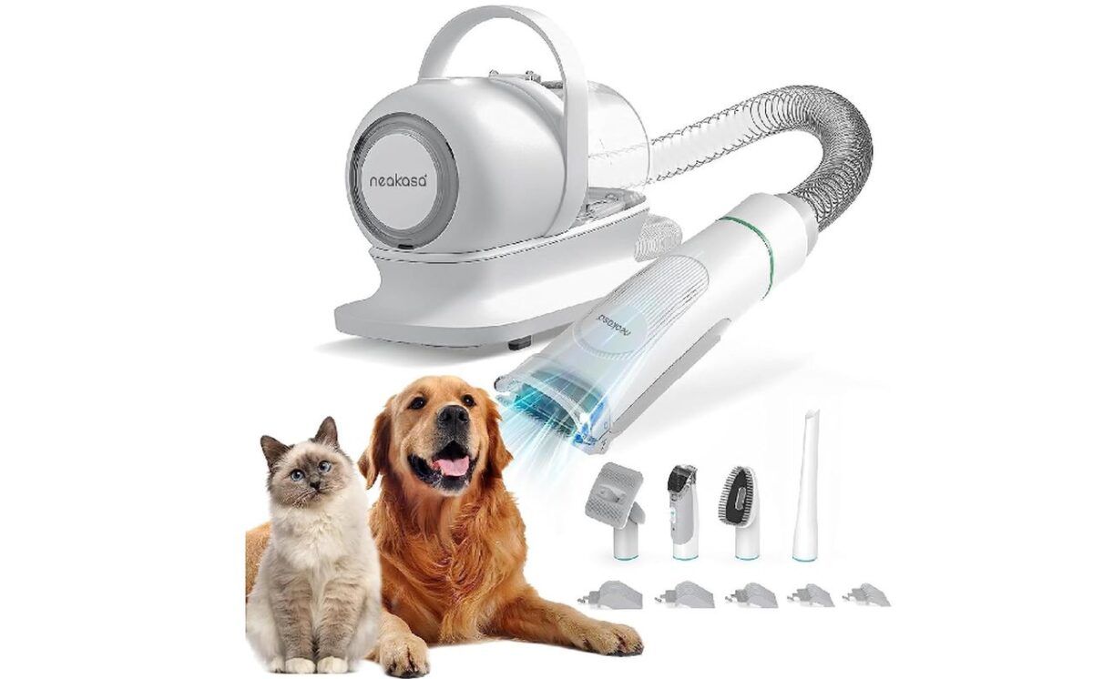 Best Dog Grooming Kits on Amazon: No. Five has a Stellar Design