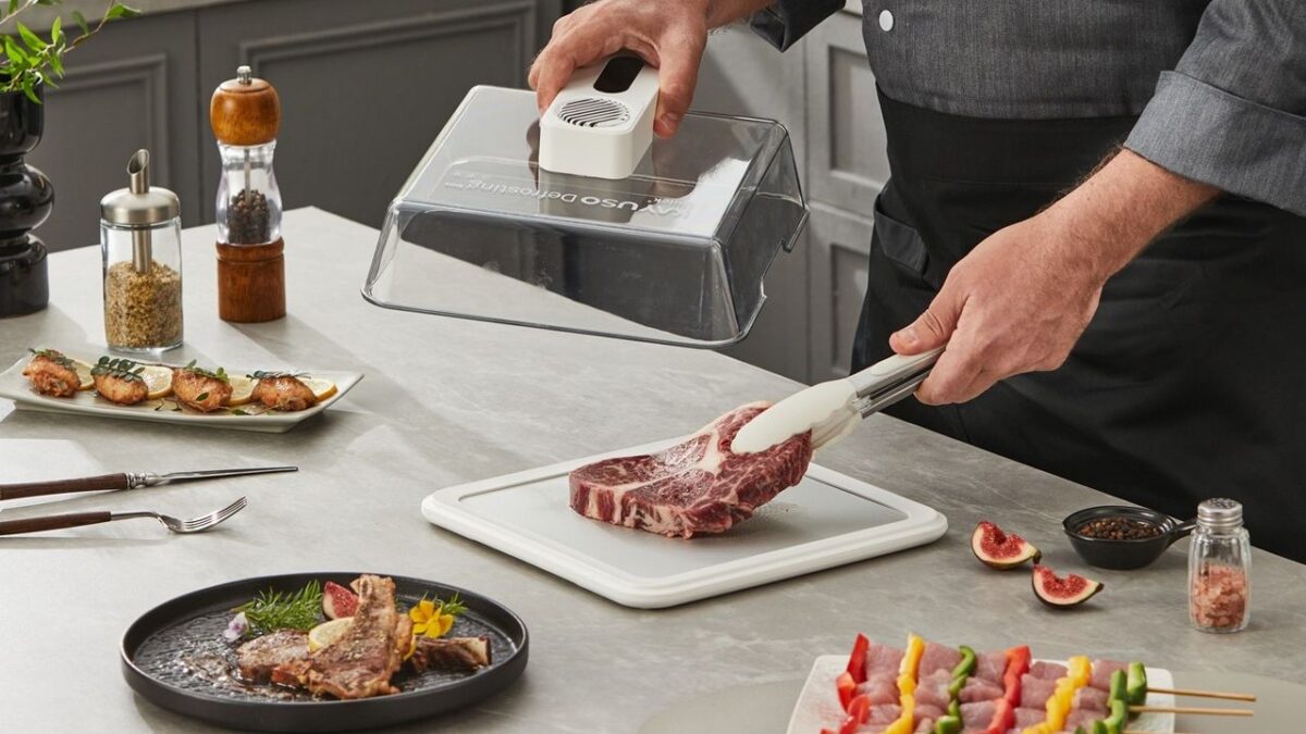 KAYUSO Defrosting Box Thaws Food Quickly, Retains all Nutrients