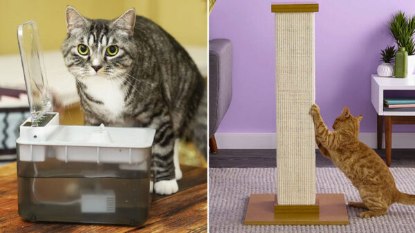 10 Best New Year’s Gift Ideas to Surprise Your Loved Ones