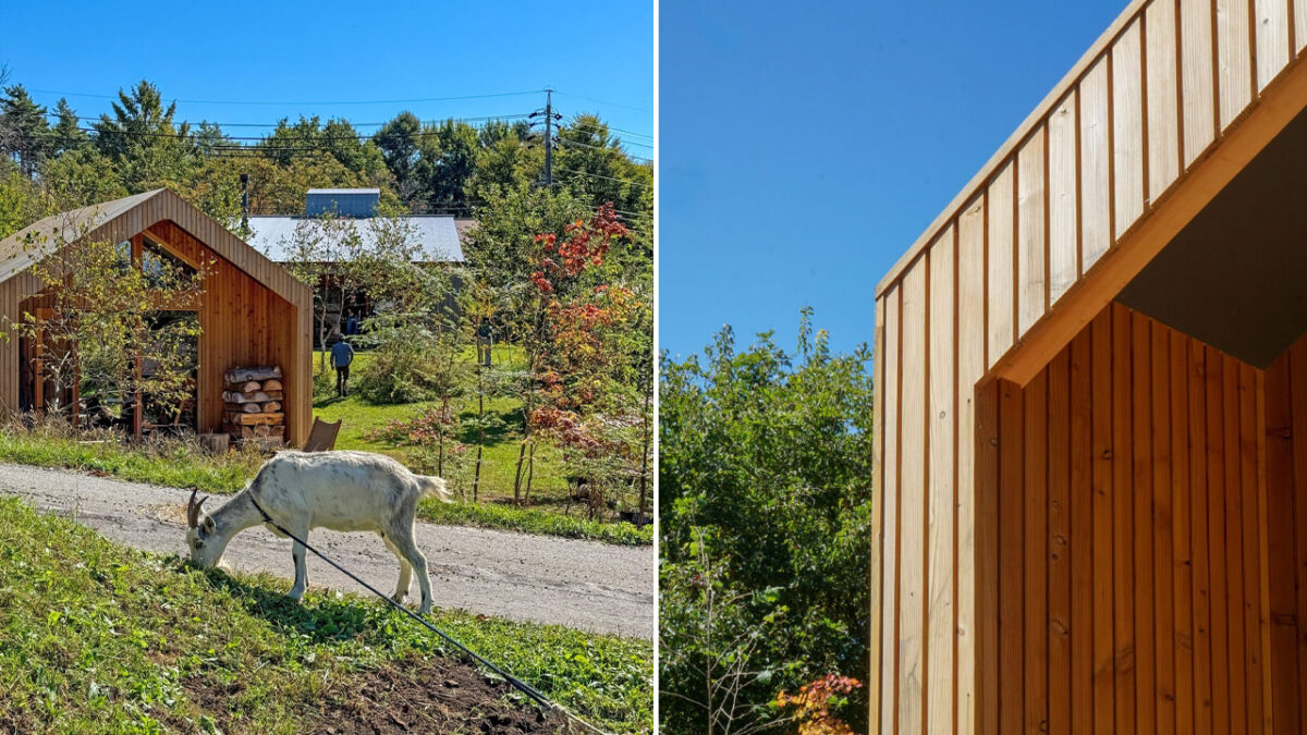 This Minimalistic Hovering Cabin in Japan Appears to be Floating