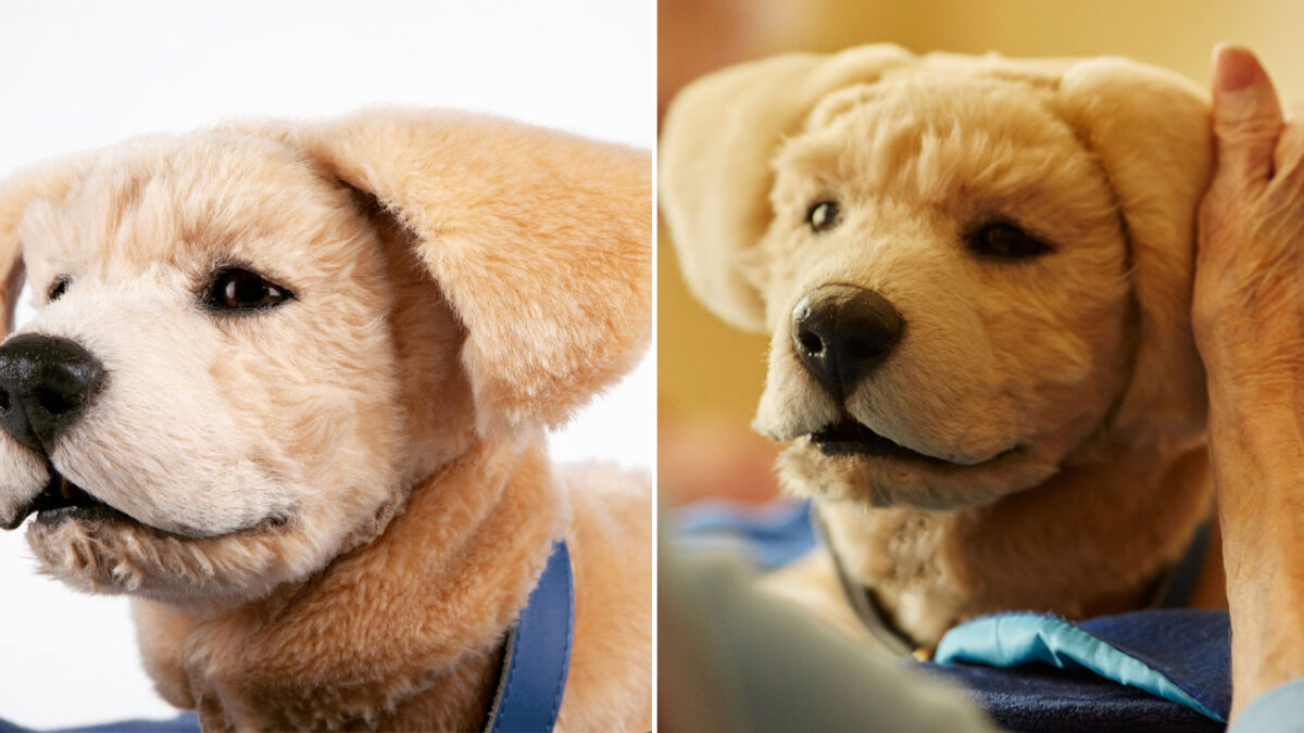 Tombot's Robotic Puppy 'Jennie' is Cutest Healer for Ailing Hearts