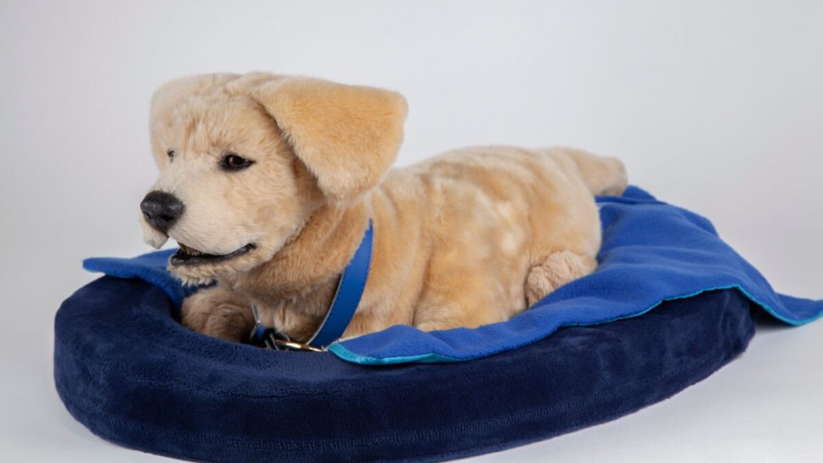 Best Pet Bots and Emotionl Companions at CES 2026
