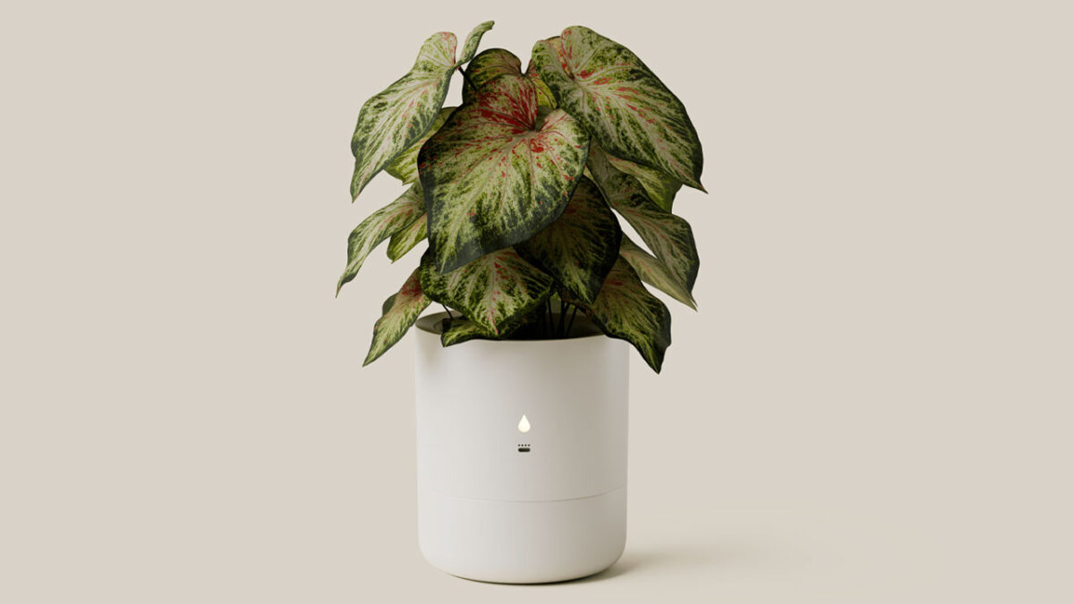 Leafypod Planter is AI Watering System That Monitors Plant Health