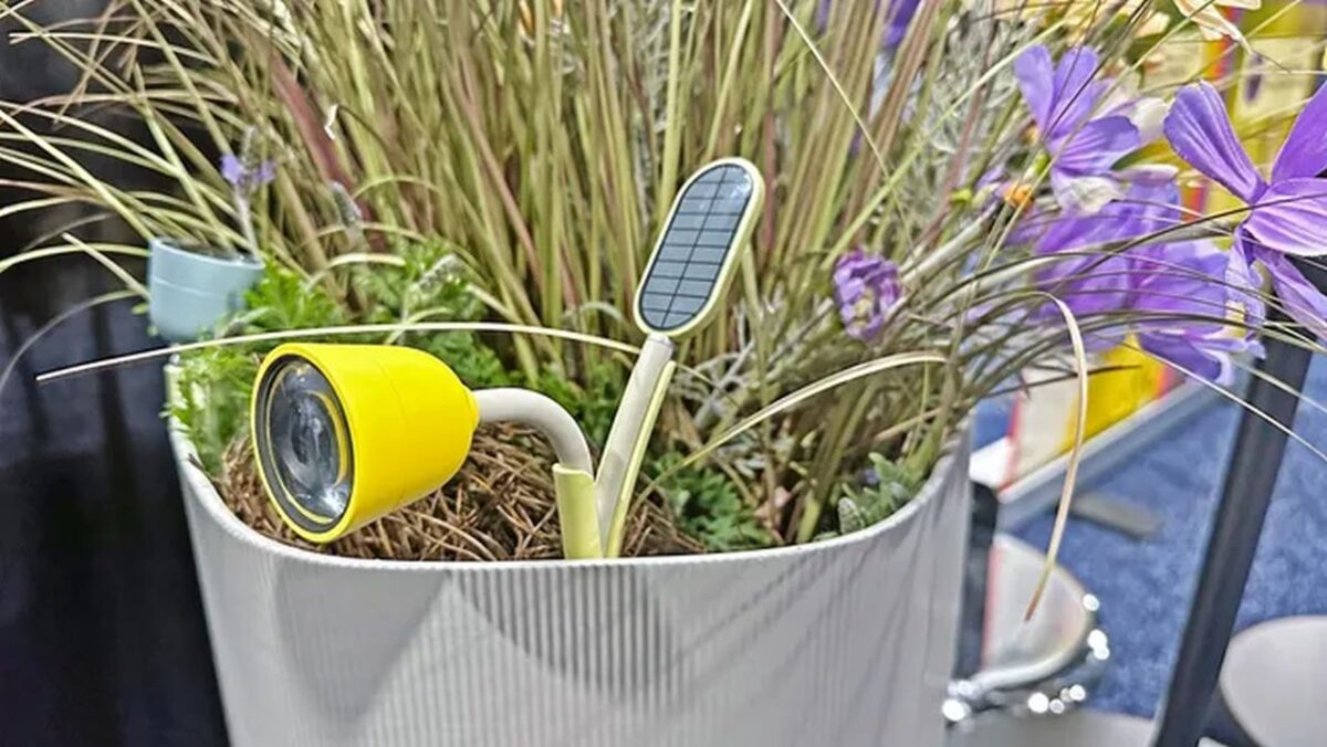 Bird Buddy's Petal Camera Captures Bugs & Bees in Your Garden