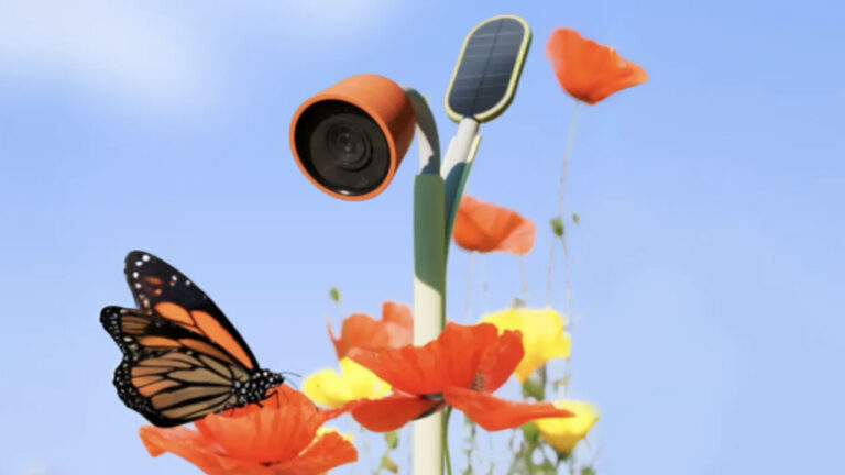 Bird Buddy's Petal Camera Captures Bugs & Bees in Your Garden