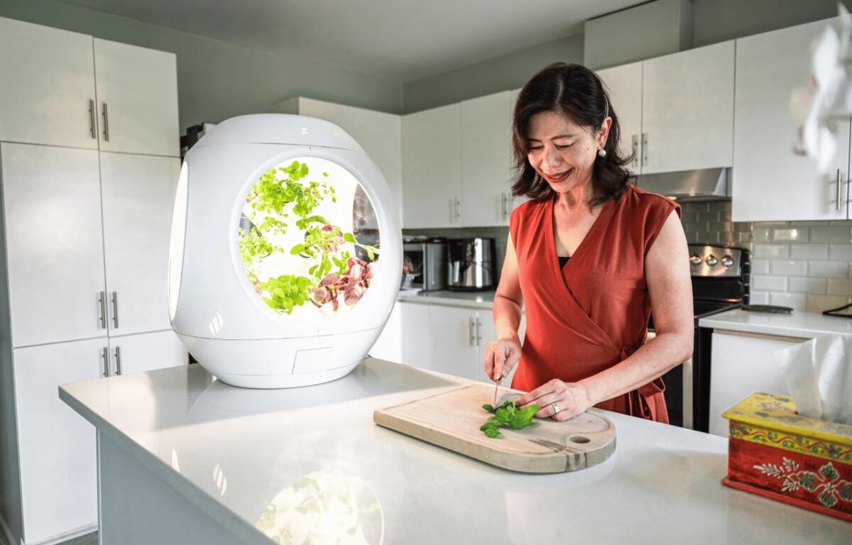 Plantaform Smart Indoor Garden Uses Fogponics to Grow Veggies