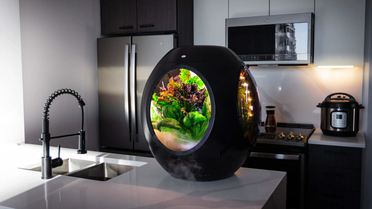 Plantaform Smart Indoor Garden Uses Fogponics to Grow Veggies