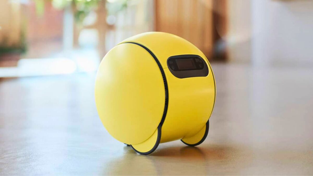 5 Pet Robots From CES 2025 too Adorable to Resist