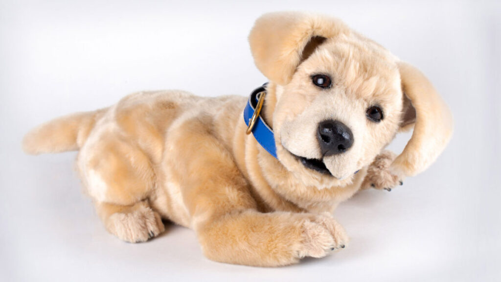 5 Pet Robots From CES 2025 too Adorable to Resist