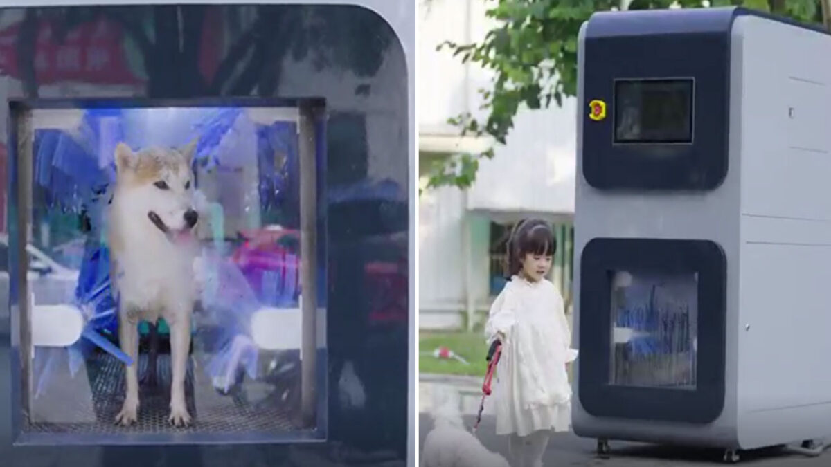 Pet Gadgets From CES 2025 That'll Make You a Super Parent