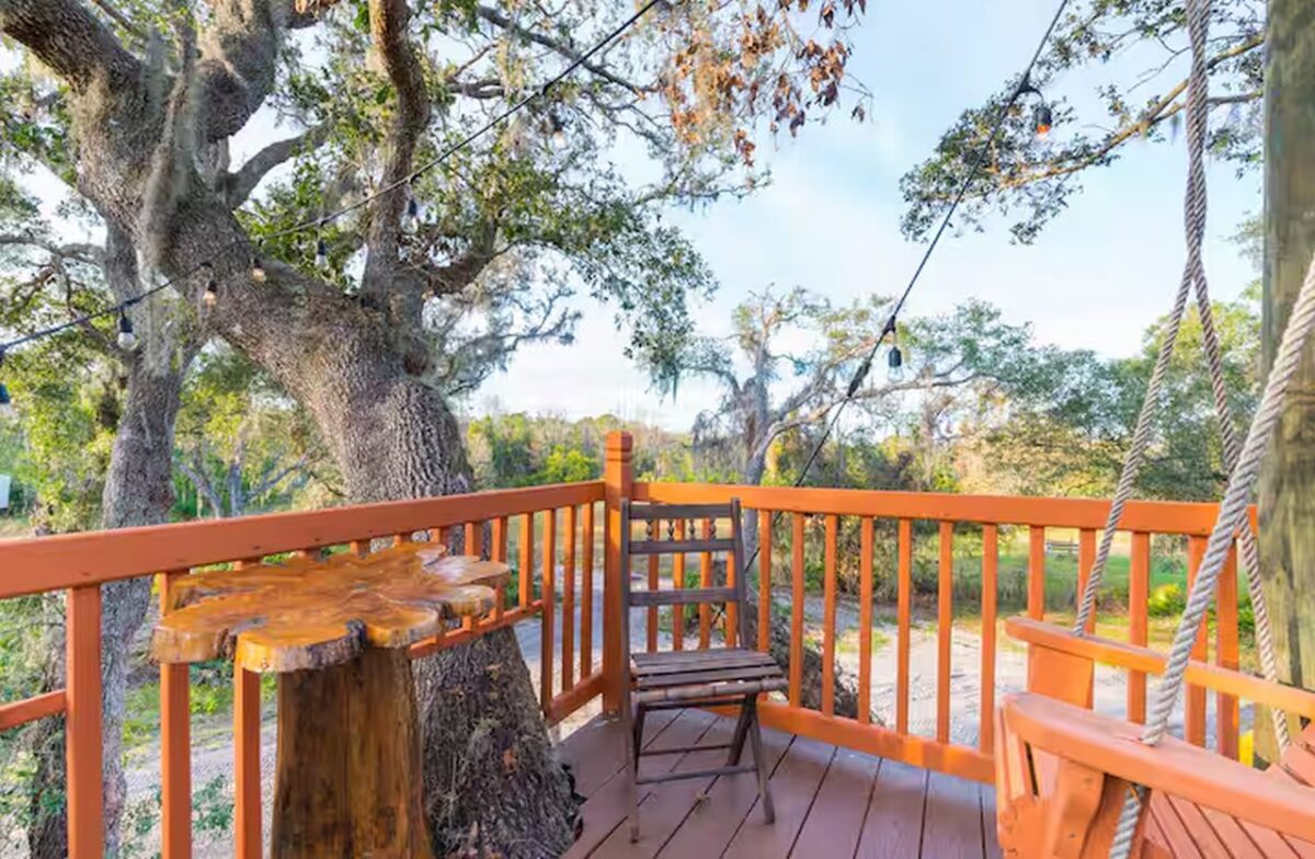 Danville Treehouse Offers Glamping in 15ft High Yurt With Elevator