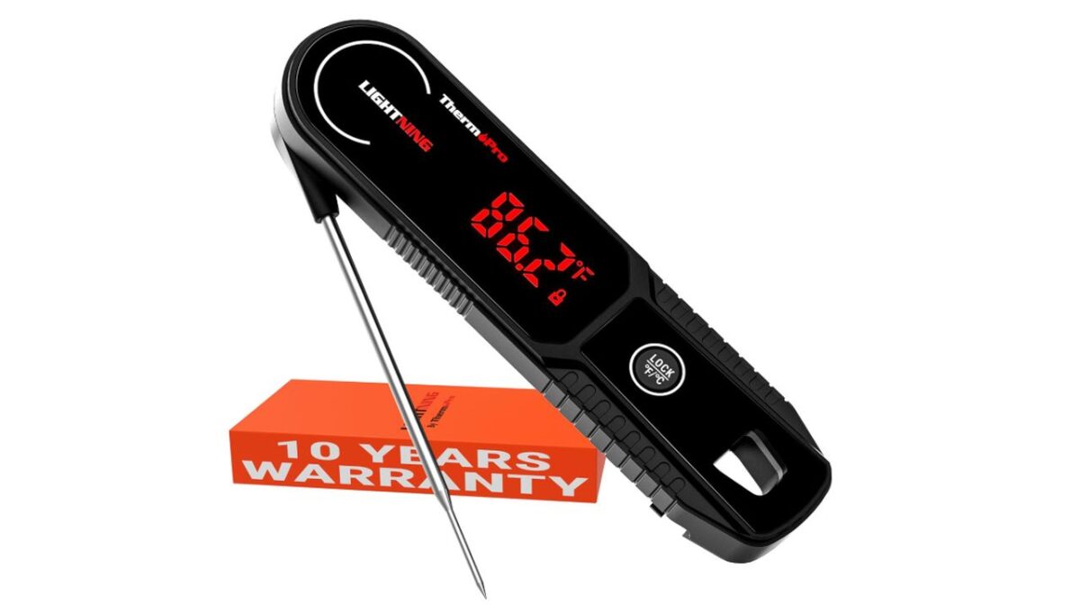 10 Best Meat Thermometers to Buy on Amazon in 2025