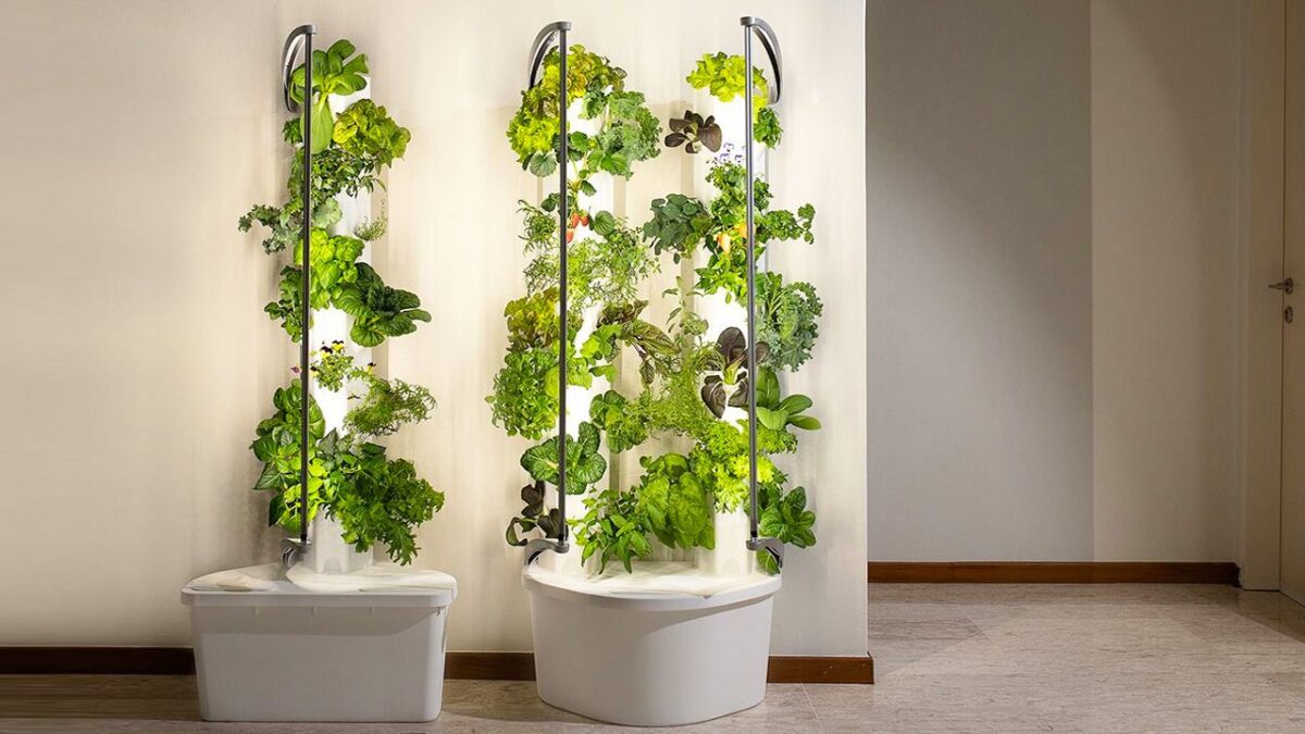Aerospring Pinch Hydroponic System Grows 15 Plants at Once