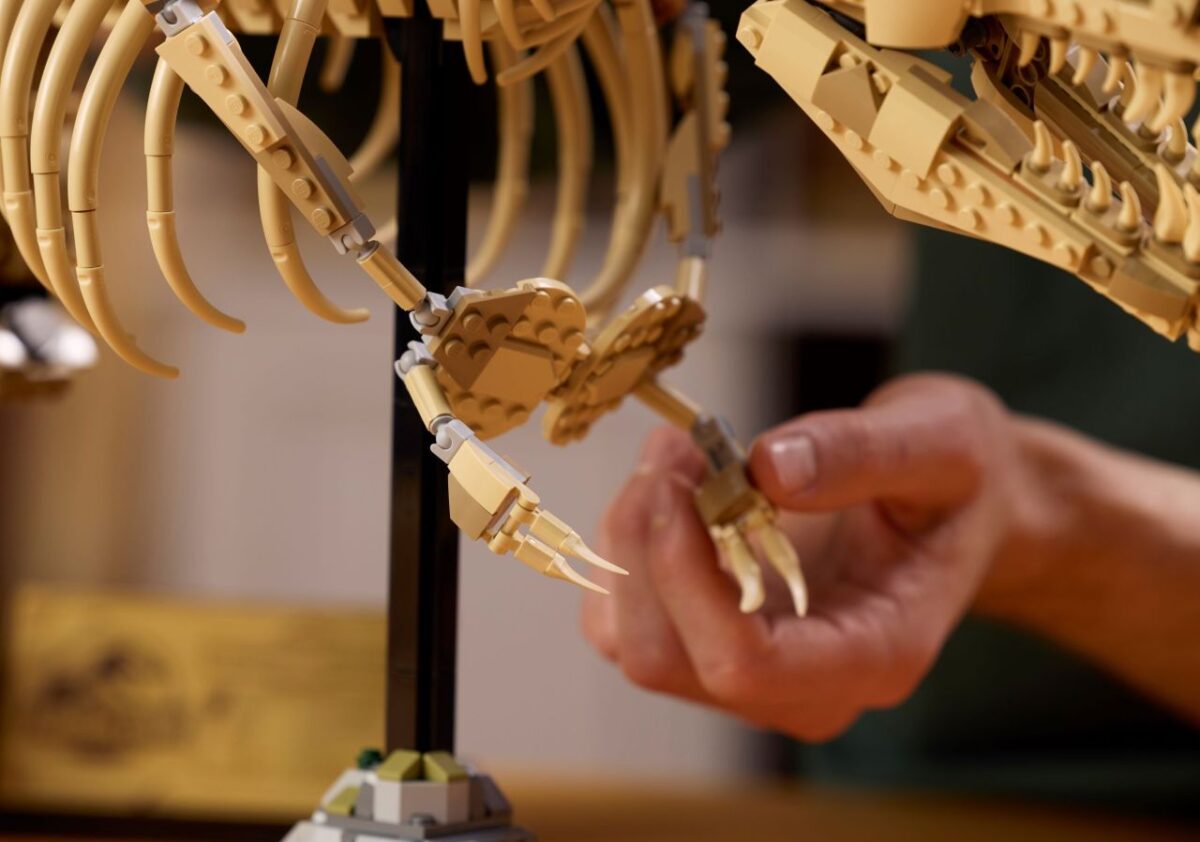 LEGO Brings Most Realistic T-Rex Skeleton for Jurassic Park Fans