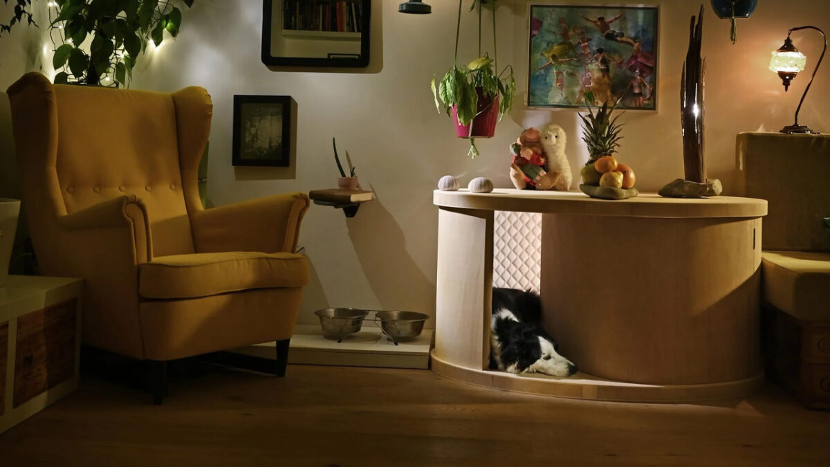 Noise-Reducing Dog House 'Pet Shell' Doubles as Coffee Table