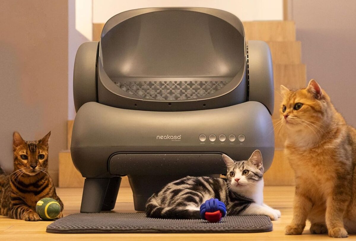 Best Self-Cleaning Litter Boxes of 2025 Every Cat Parent Will Love