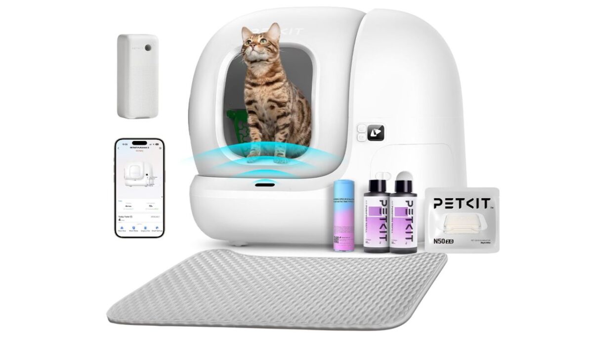 Best Self-Cleaning Litter Boxes of 2026 Every Cat Parent Will Love