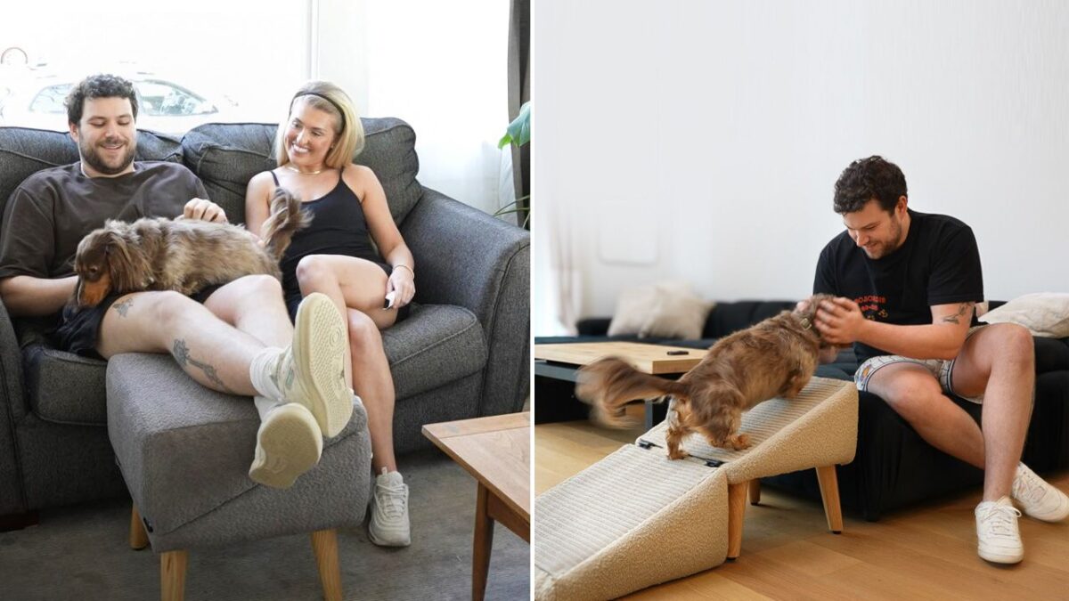 SeatMate Split is Stylish Ottoman That Doubles as Dog Ramp