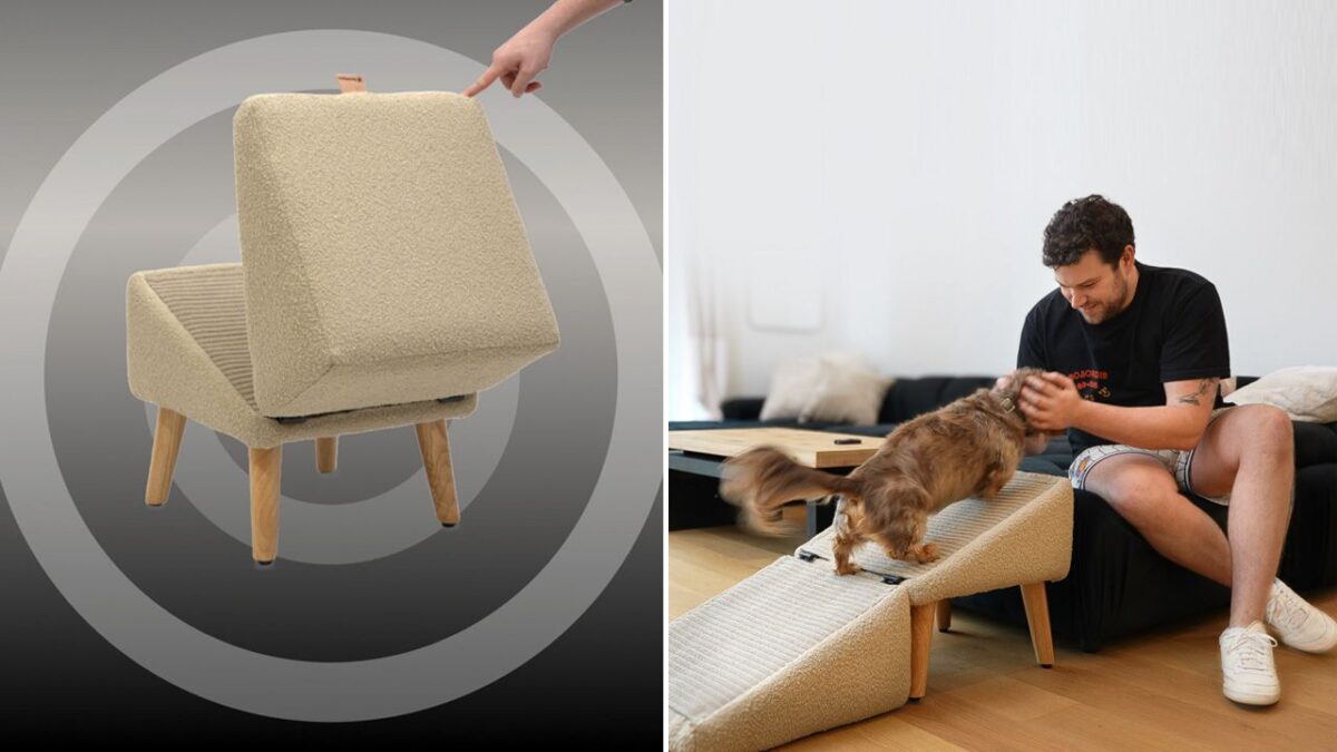 SeatMate Split is Stylish Ottoman That Doubles as Dog Ramp