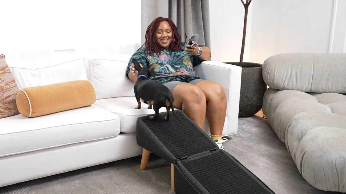 SeatMate Split is Stylish Ottoman That Doubles as Dog Ramp