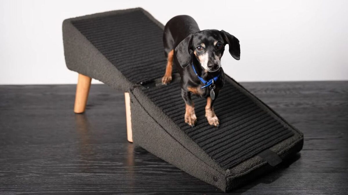SeatMate Split is Stylish Ottoman That Doubles as Dog Ramp