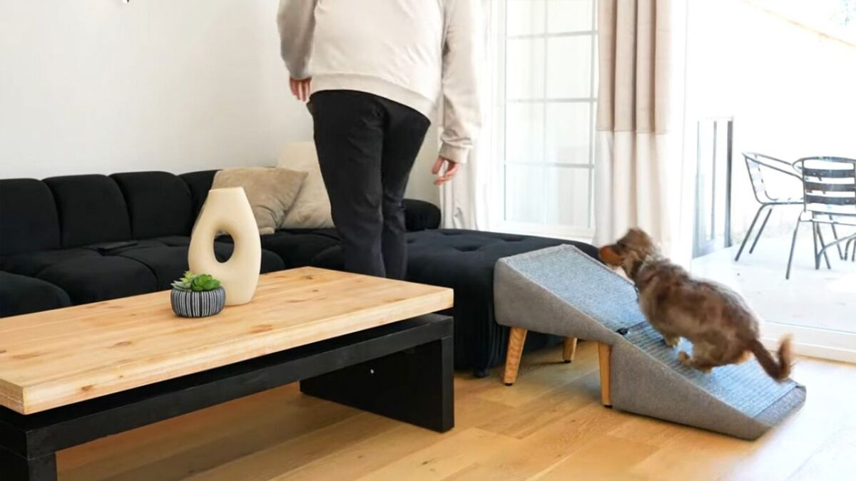 SeatMate Split is Stylish Ottoman That Doubles as Dog Ramp