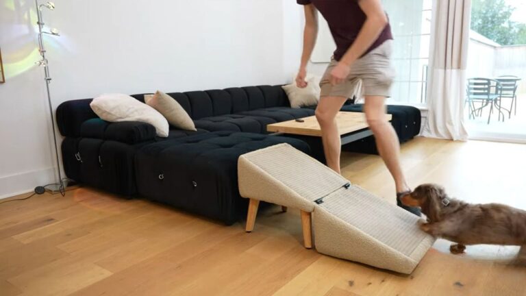SeatMate Split is Stylish Ottoman That Doubles as Dog Ramp
