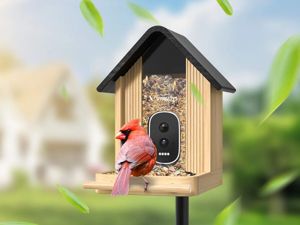 VINGUYS Smart V-Feeder Bamboo is Perfect Mother’s Day Gift