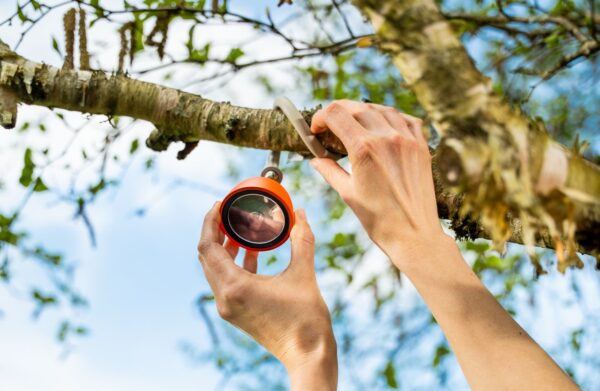 Wonder Blocks is Smart Modular Habitat for Backyard Pollinators