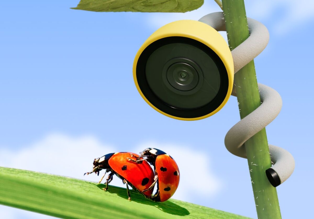 Wonder Blocks is Smart Modular Habitat for Backyard Pollinators