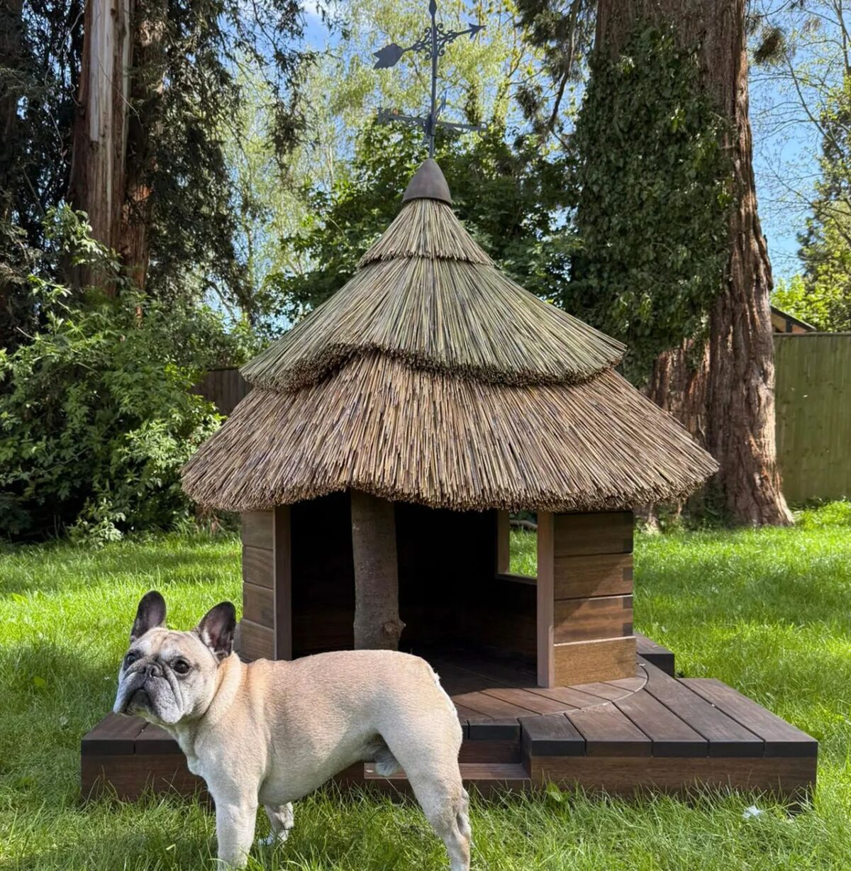 Top 10 Dog Kennel Designs That Stole Show at Barkitecture 2025