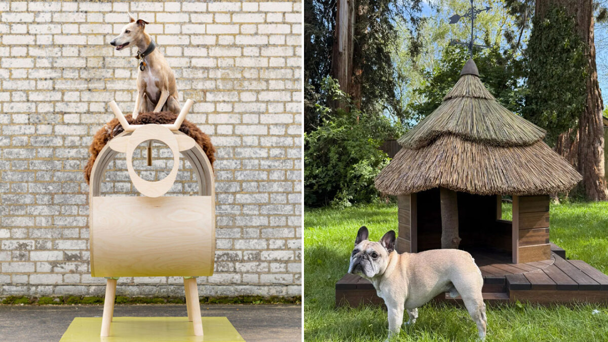 Top 10 Dog Kennel Designs That Stole Show at Barkitecture 2025