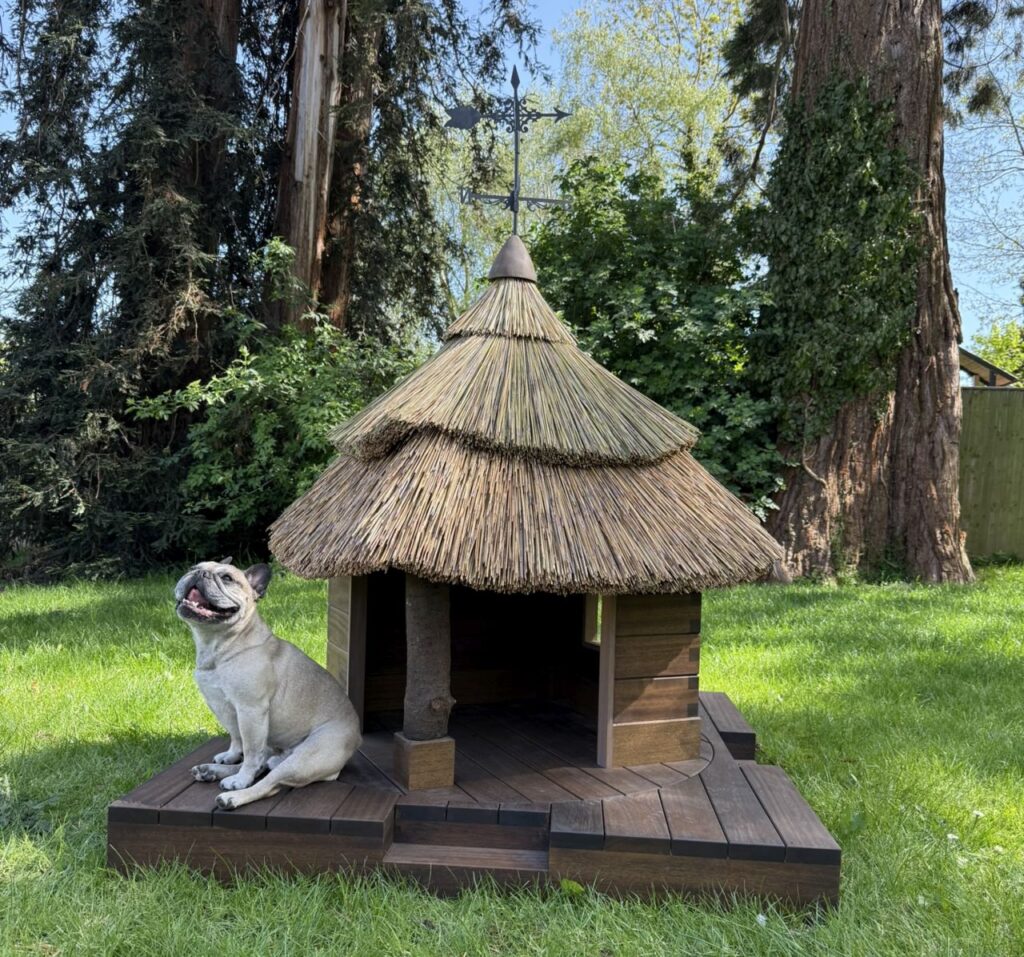ADAM Architecture's Sustainable Dog House has Rotating Base