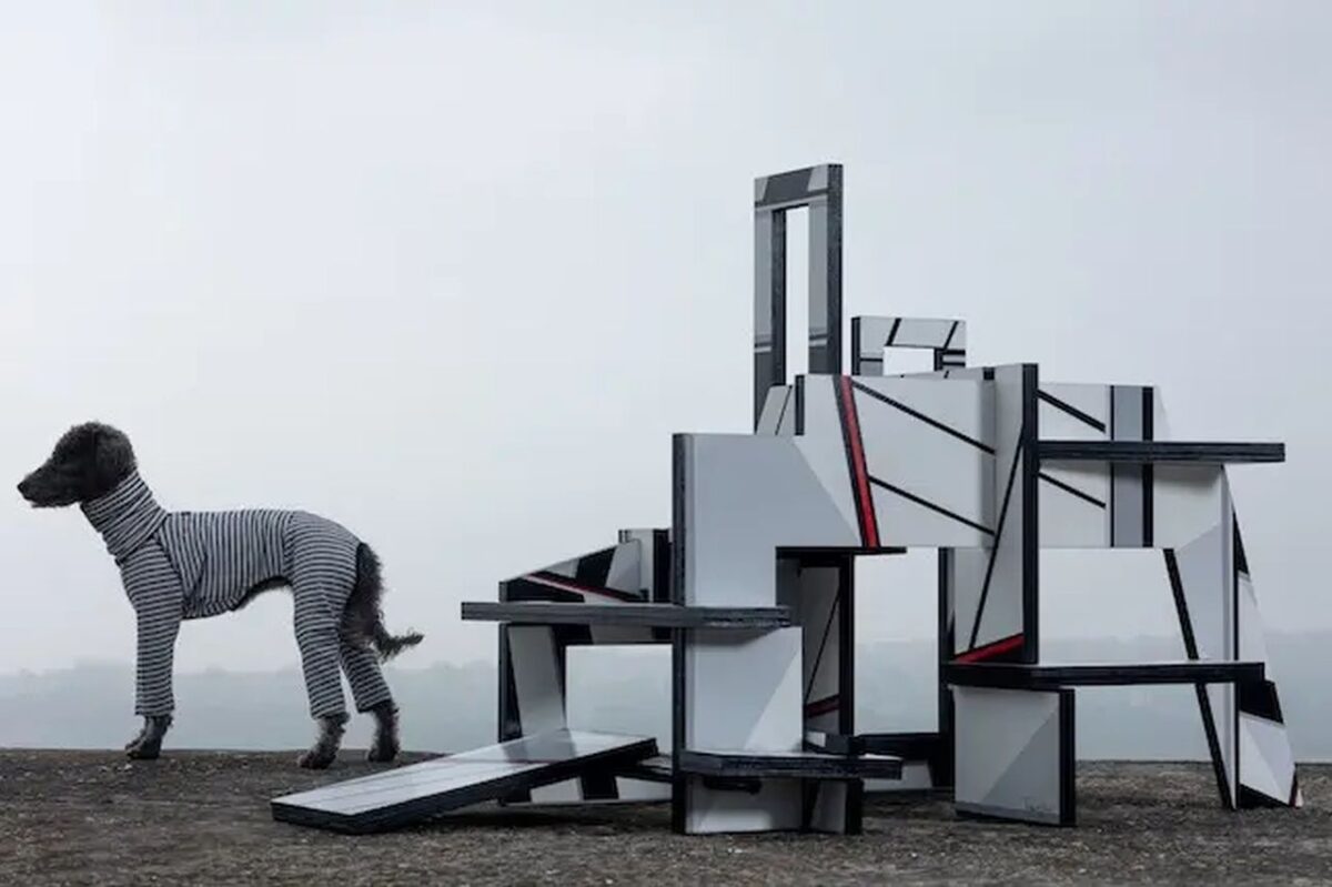 Top 10 Dog Kennel Designs That Stole Show at Barkitecture 2025