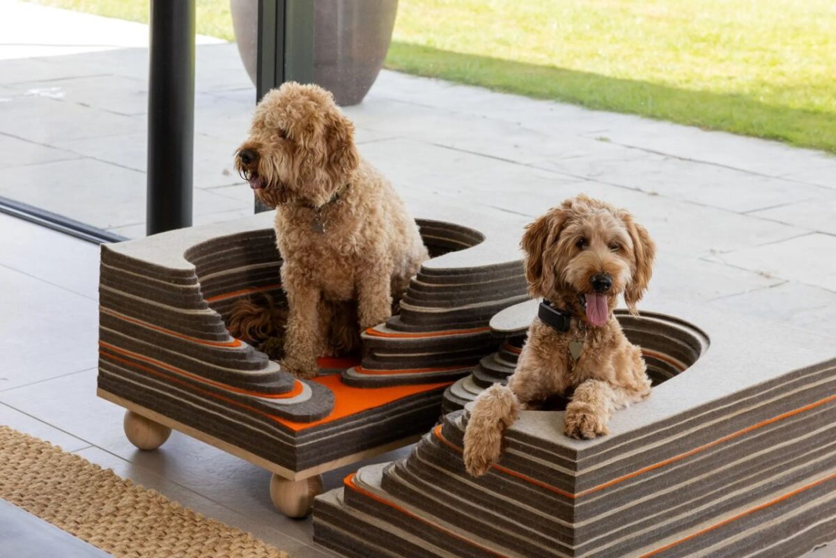 Top 10 Dog Kennel Designs That Stole Show at Barkitecture 2025