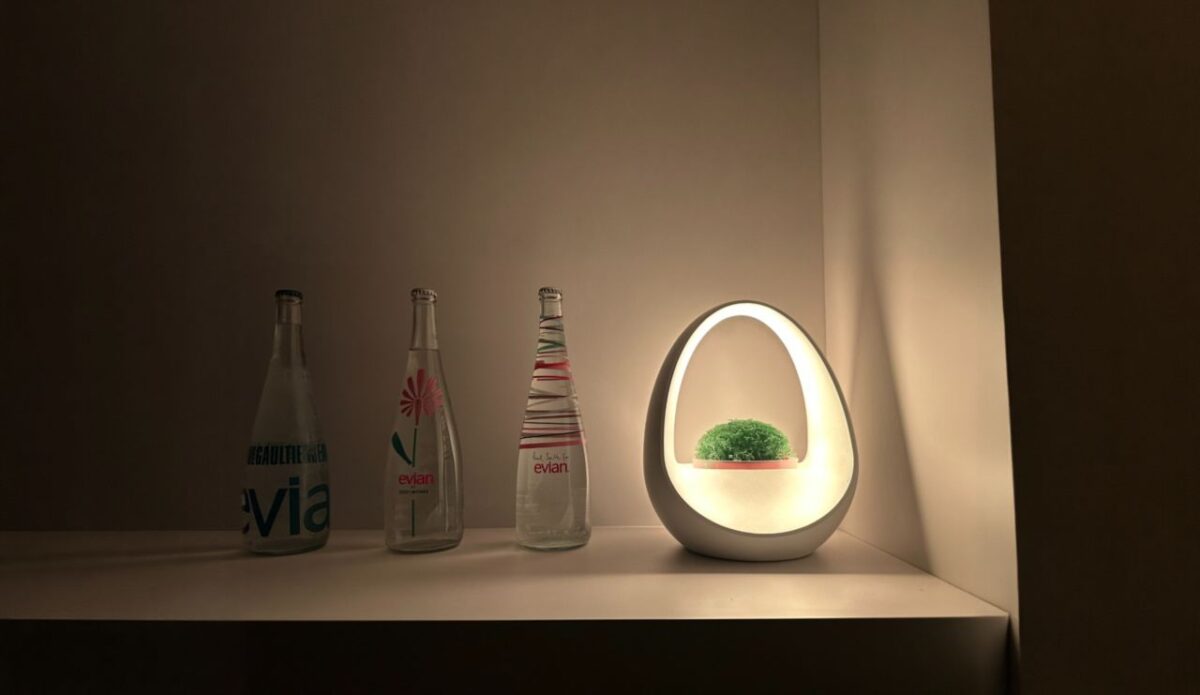Planto Water-Powered Smart Lamp