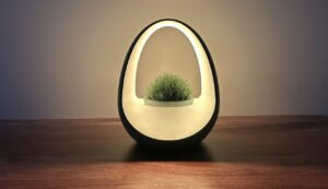 Planto Water-Powered Smart Lamp