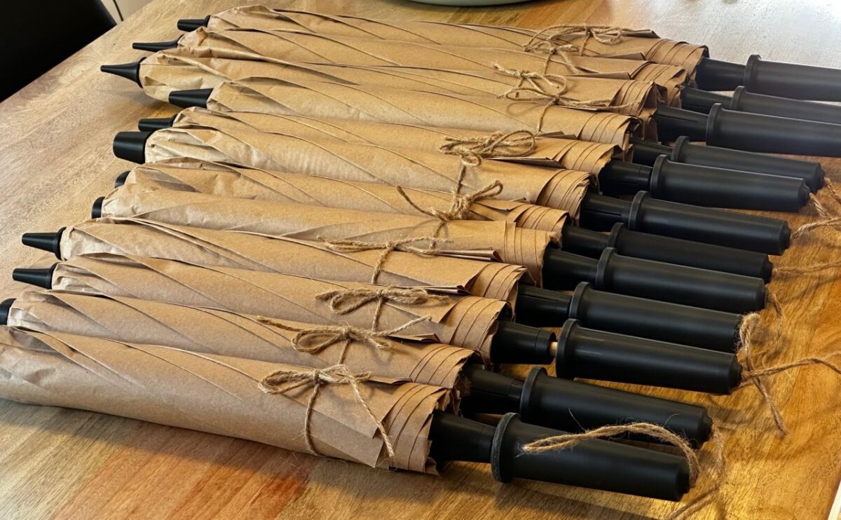 This Biodegradable Umbrella Leaves no Trace After use