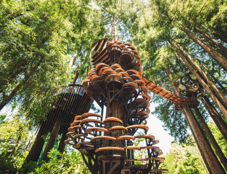 Redwood Ripple Treehouse by O2 Mimics Fruiting Fungi on Trees