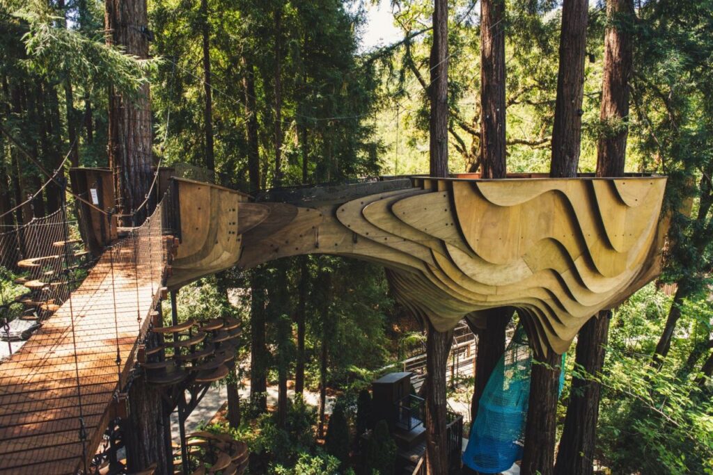 Redwood Ripple Treehouse by O2 Mimics Fruiting Fungi on Trees