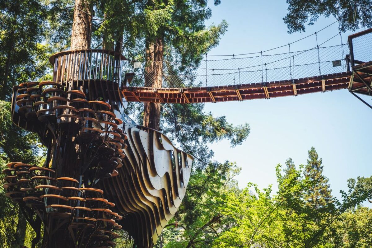 Redwood Ripple Treehouse by O2 Mimics Fruiting Fungi on Trees