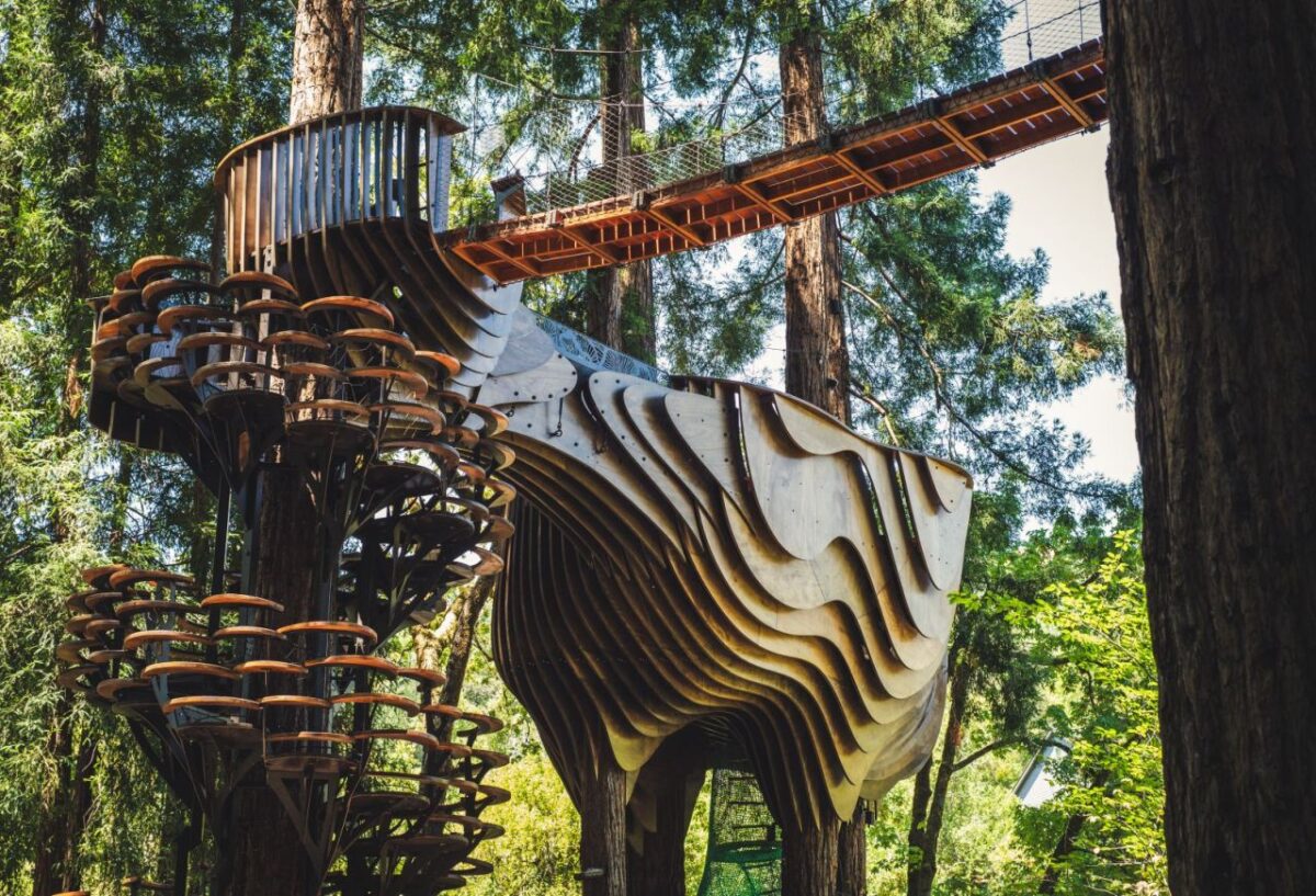 Redwood Ripple Treehouse by O2 Mimics Fruiting Fungi on Trees