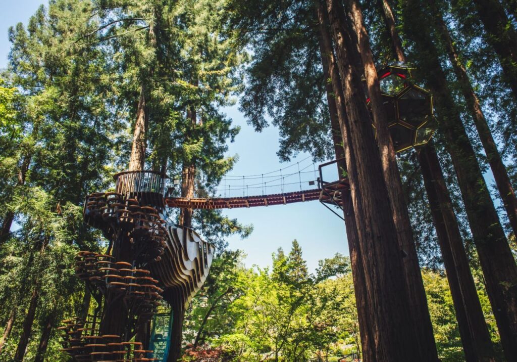 Redwood Ripple Treehouse by O2 Mimics Fruiting Fungi on Trees