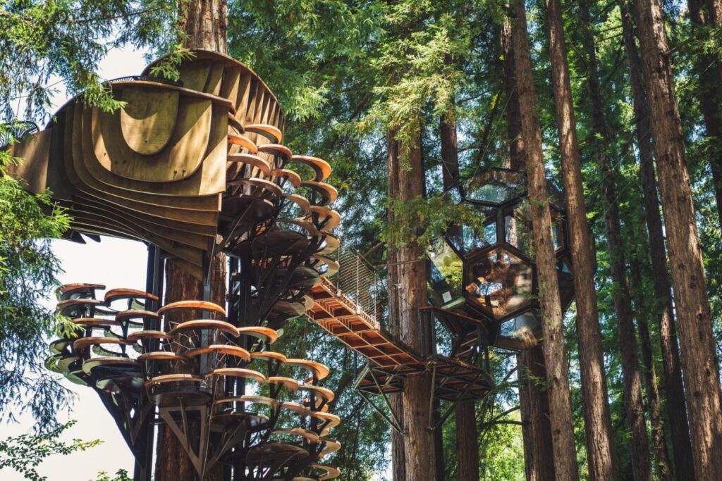 Redwood Ripple Treehouse by O2 Mimics Fruiting Fungi on Trees
