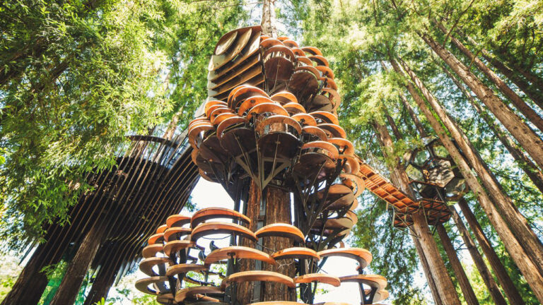 Redwood Ripple Treehouse by O2 Mimics Fruiting Fungi on Trees