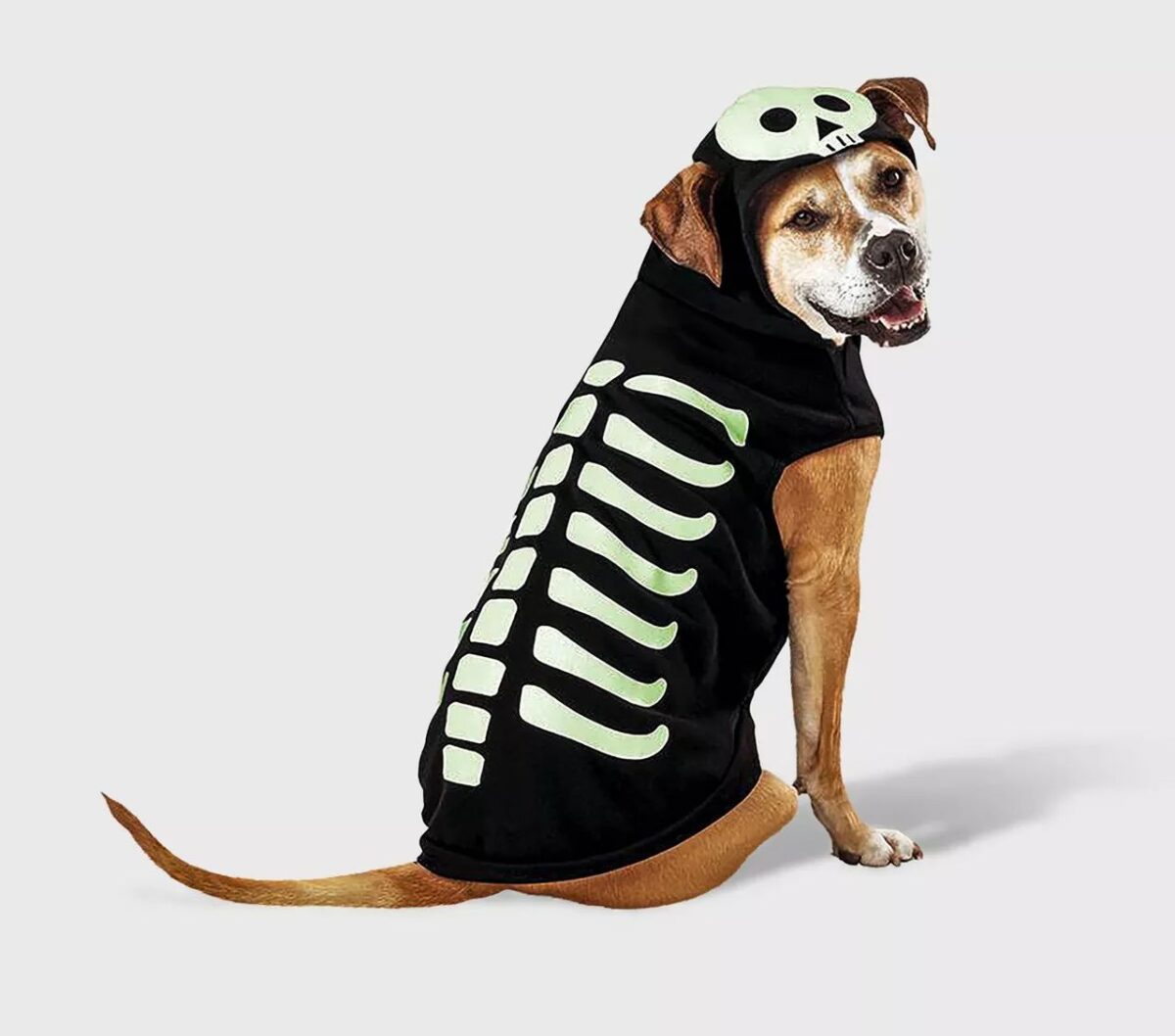 Skeleton Glow Halloween Hoodie for Pets at $12 on Target